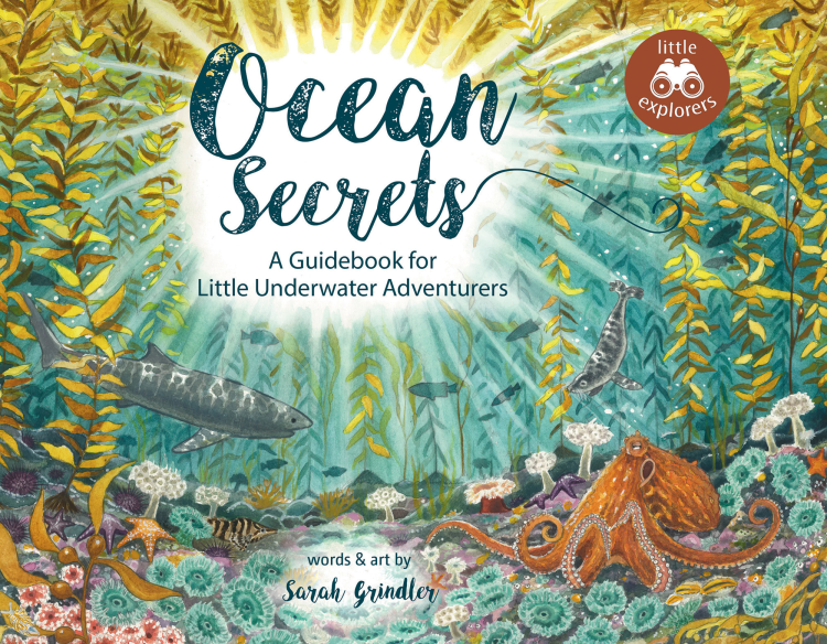 Ocean Secrets: A Guidebook for Little Underwater Adventurers | Nimbus ...